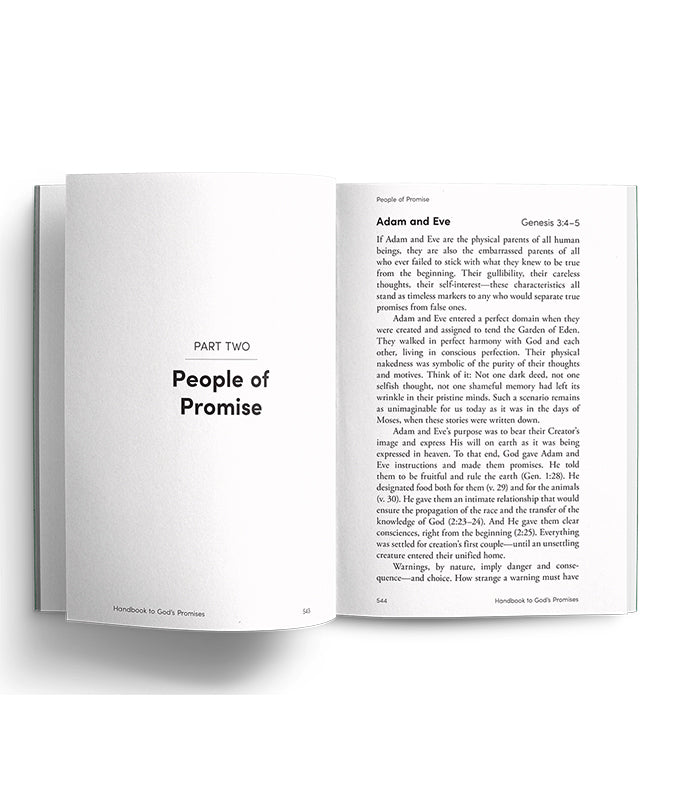 Handbook to God’s Promises: The Promises of God in Scripture - Bonded ...